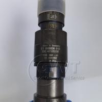 China Common Rail BOSCH Diesel Fuel Injectors EA4600701387 RA4600701387 RA4720701187 for sale