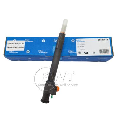China 28602948 28388960 28319895 DELPHI Diesel Fuel Injectors for Ford DS7Q9F593BA for sale