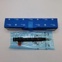 China D57Q9F893BB Ford Fuel Injector 9674984080 28319895 28602948 28388960 for sale