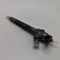 China 0445110646 0445110647 BOSCH Diesel Fuel Injectors Common Rail Injector 0986435166 0986435167 for sale