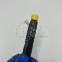 China 28599713 Delphi Genuine Injector GREAT WALL Diesel Injector 1100100XED95 Common Rail Injector 28599713 for sale