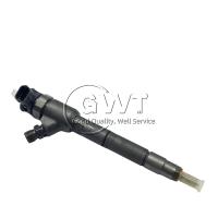 China 0445111180  0445110768 Common Rail BOSCH Diesel Fuel Injectors for sale