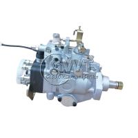 China 196000-31538 Deson Fuel Injection Pump 22100-1C320 VE6/10F1900RND315 for sale