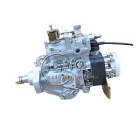 China 196000-31538 Deson Fuel Injection Pump 22100-1C320 VE6/10F1900RND315 for sale