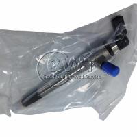 China HRD666 REMAN INJECTOR 1746967 Diesel Fuel Injector for sale