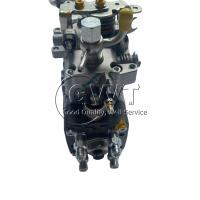 China 0460424562 VE Pump for Fuel Delivery for sale