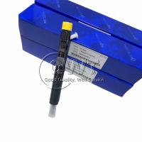 China 28232251 DELPHI Diesel Fuel Injector 166001137R for sale