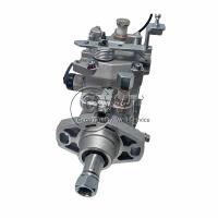 China VE Pump 096000-4660 VE4/12F1800RND466 22100-58600 For TOYOTA for sale