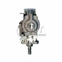 China 0460426383 VE Pump VE6/12F1100L979-3 for sale