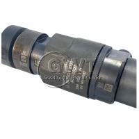 China Genuine Bosch Diesel Injector 0445120287 0445120288 for Mercedes Actros for sale