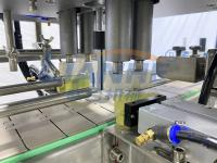 China 250ml Bottle Liquid Filling Machine Automatic Piston Filling Capping Labeling Line for sale