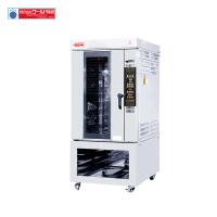 China CE Japanese Bakery Convection Oven Commercial Bread Oven With Steam for sale