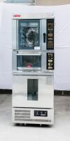 China Commercial Bakery Equipment Electric Convection Oven with 10 Trays Stainless Steel Inside for sale
