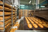 China Good Price 1 Deck 2 Tray Gas Oven for Baking Shop Bread Bakry Equipment for sale