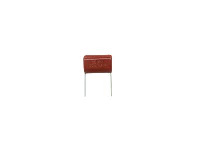 China Through Hole Metallized Polypropylene Pp Capacitors Length 6.3mm-20mm for sale