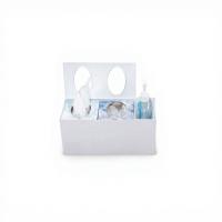 China High Quality ABS Tissue and Disinfectant Box Custom Mould Supplier Plastic Napkin Box Mold Production Manufacturer Service for sale