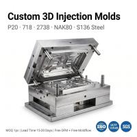 China Two Shot Mold Overmolding Mold Hot Runner Plastic Injection Mold Customized Automotive Mold ABS Shell Mold OEM ISO9001 for sale