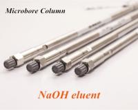 China 200mm Microbore Ion Anion Exchange Chromatography Column SH-AC-19 for sale