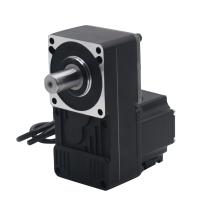 China 40W 24VDC 1800rpm Brushless Servo Motor for Turnstiles - Low-voltage DC Servo Motor for sale