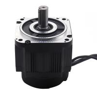 China 100rpm Incremental 2500 Lines High-torque DC Servo Motor, Servo Motor For Subway Wing Gates,speed Gate Motor for sale