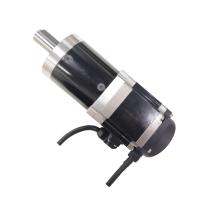 China 20.8Nm 60mm Small High Torque Servo Motor 75RPM With Gearbox for sale