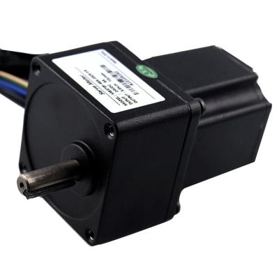 China BLDC Servo Motor 40W with 1:25 Ratio and 3.8nm Output Torque for Fast Opening Swing Gates for sale