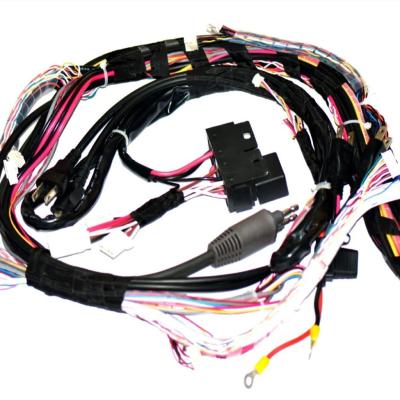China Custom Cable Assembly All Colors Varity of Length Professional Connector Wire Harness for sale