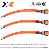 China Automotive Custom Male to Female Connector Car Wiring Harness for Energy Vehicle for sale