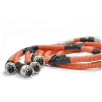 China Custom Cable Assembly Offering Customized Design for Electric Energy Car Wire Harness for sale