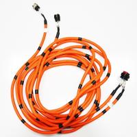 China Custom Cable Assembly Offering Customized Design for Electric Energy Car Wire Harness for sale
