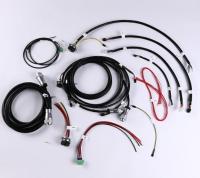 China Custom Wiring Harness Accessories for Automotive Electric Motorcycle in Customisation for sale