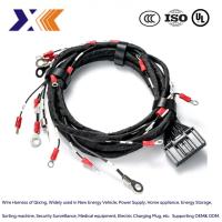 China Car Model Lithium Battery Energy Storage Cable Power Cord Wire Harness in Varity of Length for sale