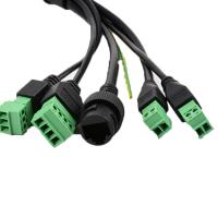 China Customized Assembly Pin Ph Xh Vh Terminal Cable for Electric Security Appliance Gender for sale