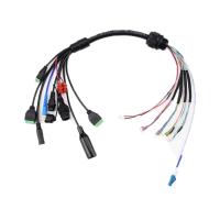 China Customized Automotive Wiring Harness Assembly for Power Cable Safety and Security for sale