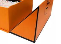 China Paperboard Medicine Packaging Box Embossing Magnet Gift Box Rigid for sale