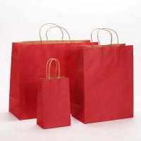 China Takeout Packaging Paper Bag Logo Printing Varnishing Kraft Paper Bag TUV for sale