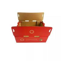 China Corrugated Cardboard Packing Boxes CMYK Printing Fruit And Vegetable Packaging Boxes for sale