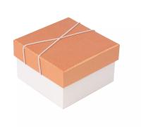 China ISO9001 Wrist Watch Packaging Box Eco Friendly Paper Watch Box for sale