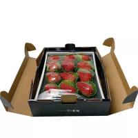 China Art Paper C1S Corrugated Cardboard Strawberry Boxes Matt Lamination for sale