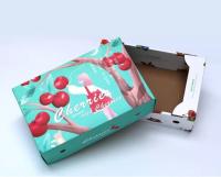 China Ecofriendly Vegetable Fruit Cardboard Boxes CMYK / Pantone Color for sale