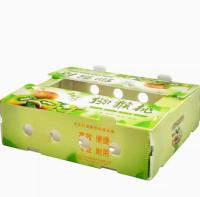 China PP Plastic	Fruit Packaging Boxes Hollow Plate Turnover Box Anti Static for sale