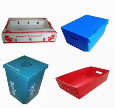 China 2400x1200 2440x1220 Fruit Vegetable Box Plastic Corrugated for sale
