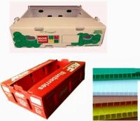 China 2400x1200 2440x1220 Fruit Vegetable Box Plastic Corrugated for sale