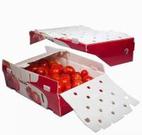 China Vegetables Fruit Packaging Boxes Corrugated Plastic Static Protective for sale
