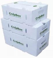 China Vegetables Fruit Packaging Boxes Corrugated Plastic Static Protective for sale