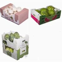 China Vegetables Fruit Packaging Boxes Corrugated Plastic Static Protective for sale