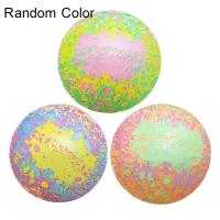 China Portable Kids Beach Ball Toy , Parent Child Interactive PVC Water Play Ball for sale