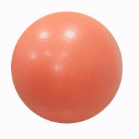 China 55 Cm Odorless Heavy Duty Fitness Ball Explosionproof Durable for sale