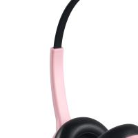 China Scorpion TX06AE ANC + ENC Noise Cancelling Office Work Headphone  USB Headset for sale