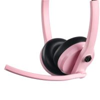 China Scorpion TX06AE ANC + ENC Noise Cancelling Office Work Headphone  USB Headset for sale